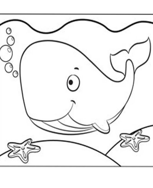 Free & Easy To Print Whale Coloring Pages - Tulamama