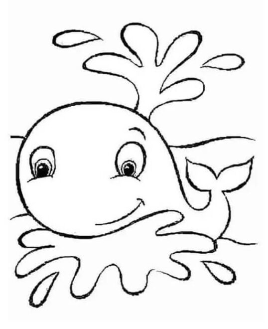 Free & Easy To Print Whale Coloring Pages - Tulamama