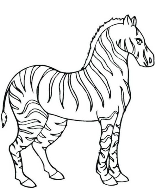 Free & Easy To Print Zebra Coloring Pages - Tulamama