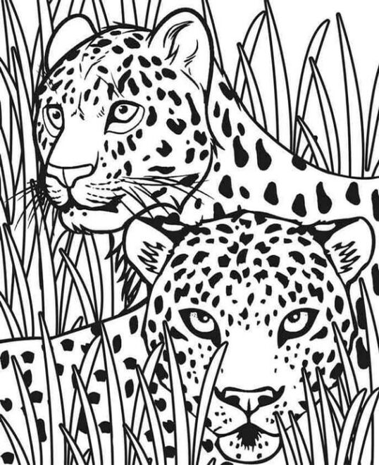 Free & Easy To Print Cheetah Coloring Pages - Tulamama
