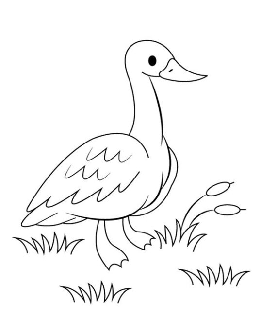 Free & Easy To Print Farm Animal Coloring Pages - Tulamama