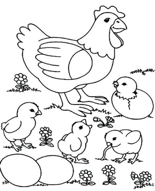 Free & Easy To Print Farm Animal Coloring Pages - Tulamama