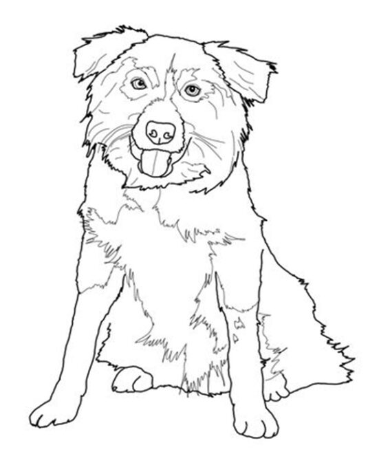 Free & Easy To Print Farm Animal Coloring Pages - Tulamama