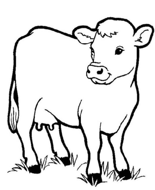 Free & Easy To Print Farm Animal Coloring Pages - Tulamama