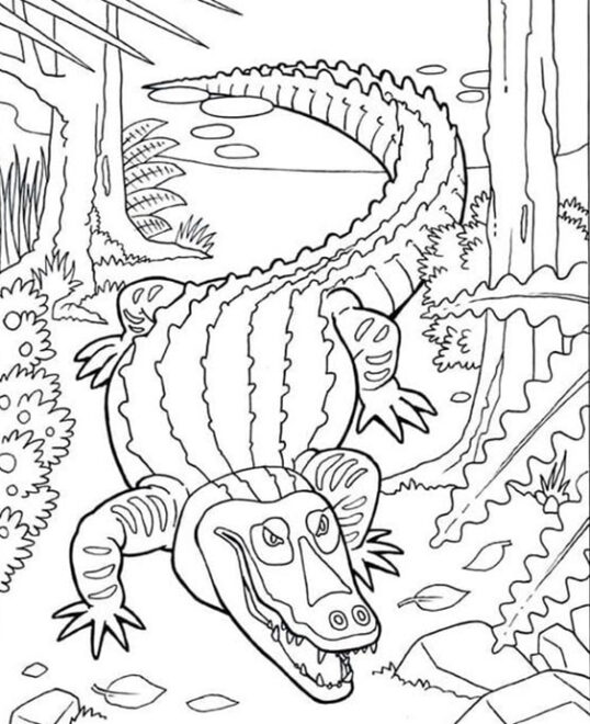 Free & Easy To Print Alligator Coloring Pages - Tulamama