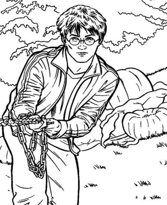 Free & Easy To Print Harry Potter Coloring Pages - Tulamama