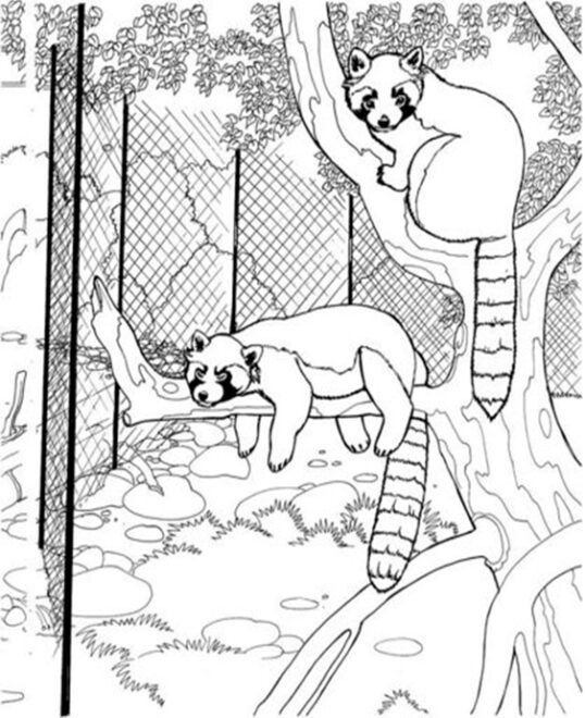 Free & Easy To Print Zoo Coloring Pages - Tulamama