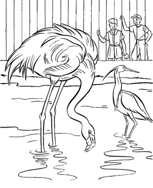 Free & Easy To Print Zoo Coloring Pages - Tulamama