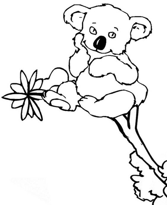Free & Easy To Print Koala Coloring Pages - Tulamama