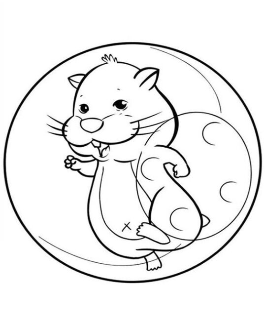 Free & Easy To Print Hamster Coloring Pages - Tulamama