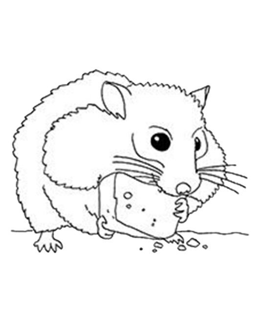 Free & Easy To Print Hamster Coloring Pages - Tulamama