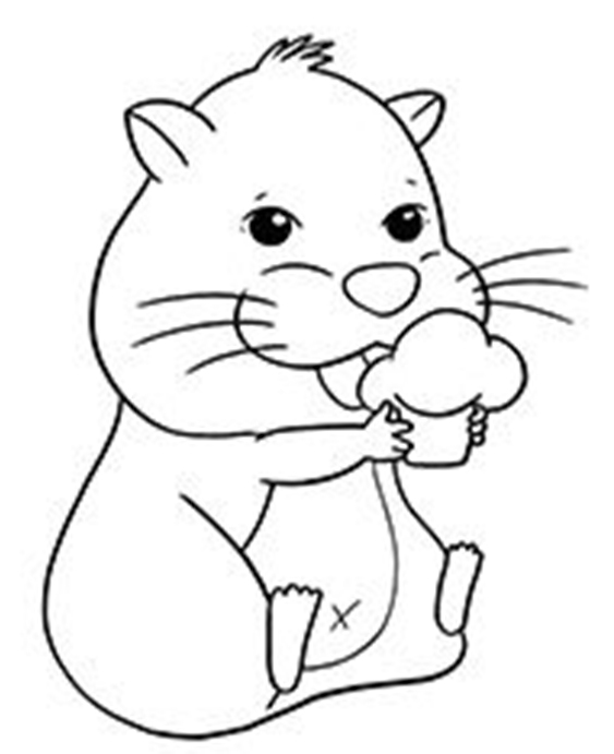 Free & Easy To Print Hamster Coloring Pages - Tulamama