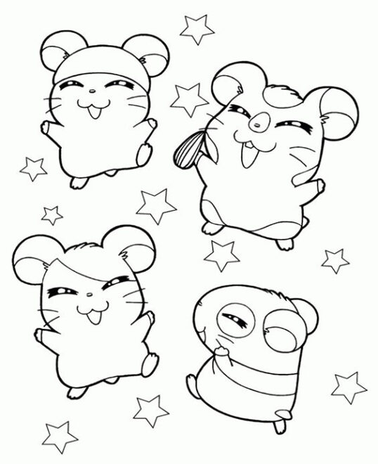 Free & Easy To Print Hamster Coloring Pages - Tulamama