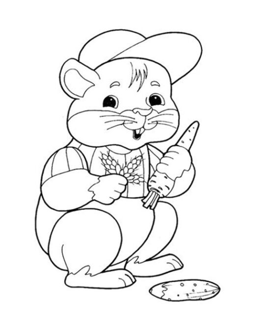 Free & Easy To Print Hamster Coloring Pages - Tulamama