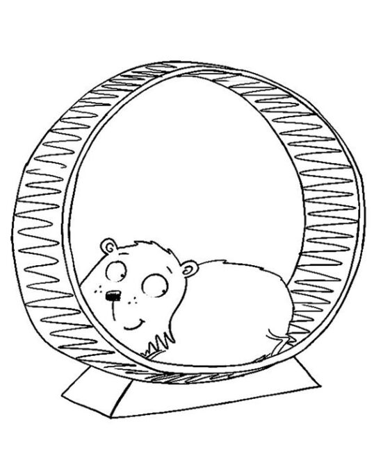 Free & Easy To Print Hamster Coloring Pages - Tulamama