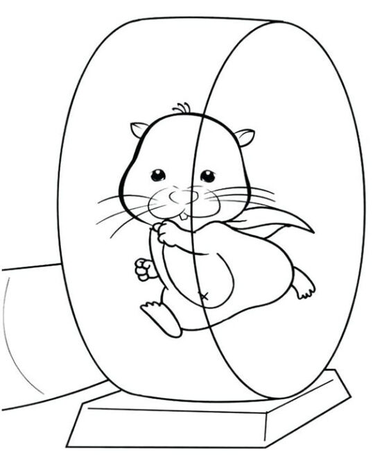Free & Easy To Print Hamster Coloring Pages - Tulamama