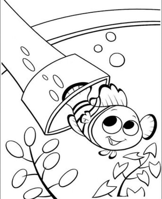 Free & Easy To Print Finding Nemo Coloring Pages - Tulamama