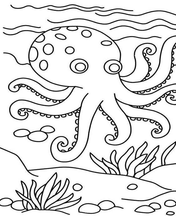 Free & Easy To Print Octopus Coloring Pages - Tulamama
