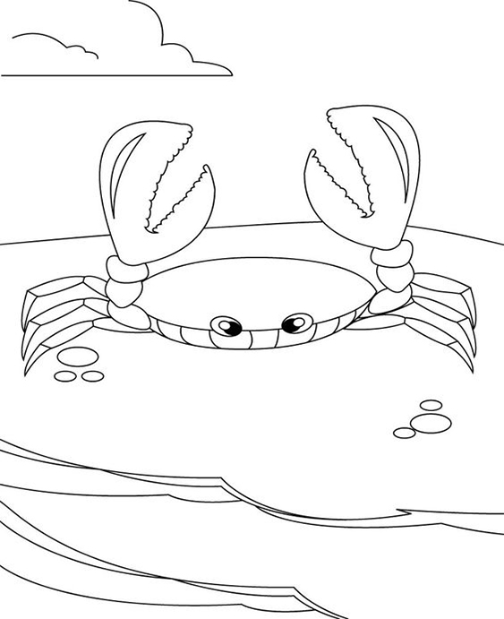Free & Easy To Print Crab Coloring Pages - Tulamama