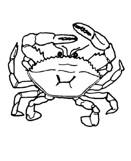 Free & Easy To Print Crab Coloring Pages - Tulamama