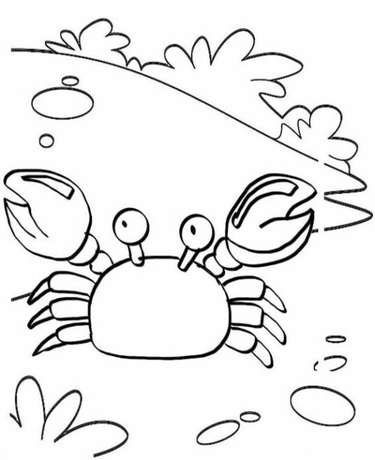 Free & Easy To Print Crab Coloring Pages - Tulamama