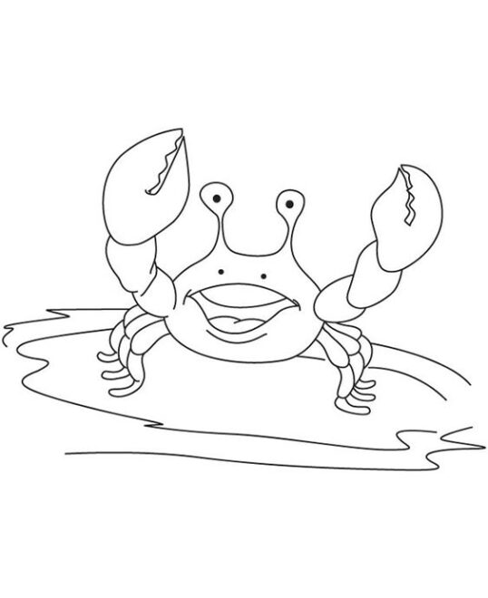 Free & Easy To Print Crab Coloring Pages - Tulamama