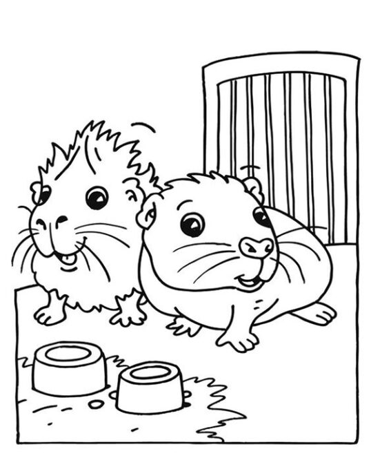 Free & Easy To Print Guinea Pig Coloring Pages - Tulamama