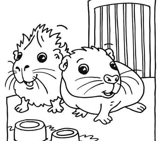 Free & Easy To Print Guinea Pig Coloring Pages - Tulamama Free & Easy To Print Guinea Pig Coloring Pages - Tulamama