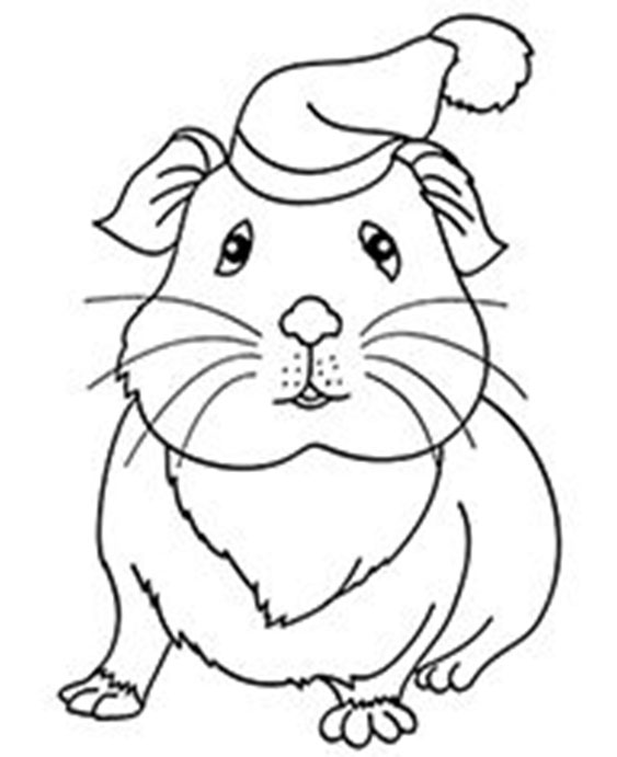 Free & Easy To Print Guinea Pig Coloring Pages - Tulamama