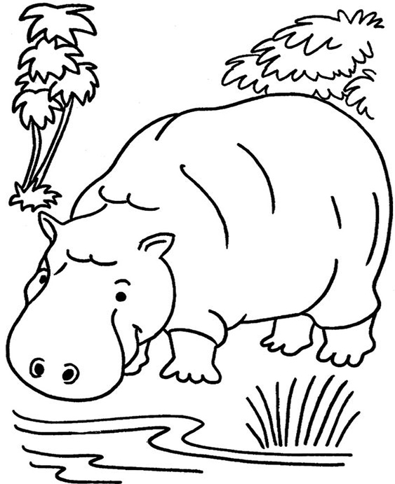 Free & Easy To Print Hippo Coloring Pages - Tulamama