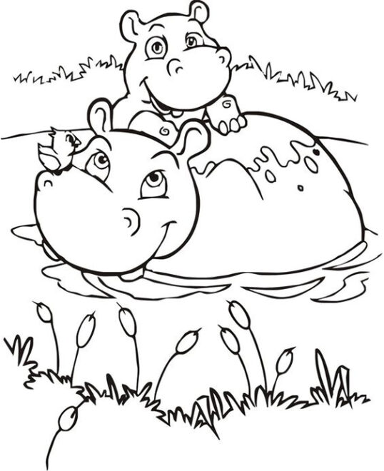 Free & Easy To Print Hippo Coloring Pages - Tulamama