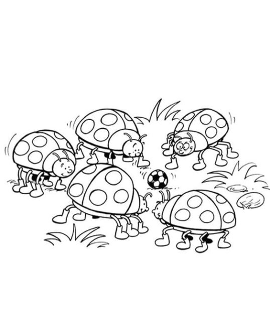 Free & Easy To Print Ladybug Coloring Pages - Tulamama