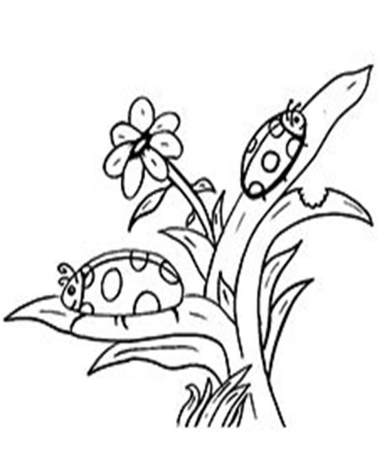 Free & Easy To Print Ladybug Coloring Pages - Tulamama
