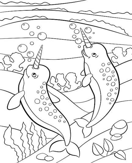 Free & Easy To Print Narwhal Coloring Pages - Tulamama