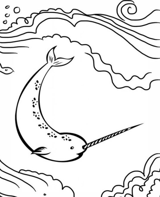 Free & Easy To Print Narwhal Coloring Pages - Tulamama