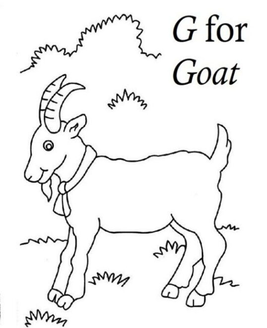 Free & Easy To Print Goat Coloring Pages - Tulamama