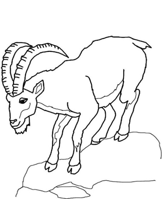Free & Easy To Print Goat Coloring Pages - Tulamama