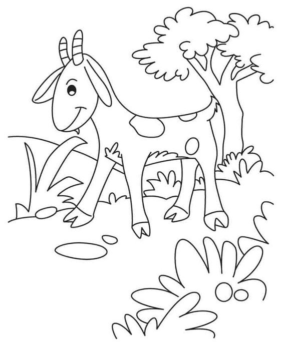 Free & Easy To Print Goat Coloring Pages - Tulamama